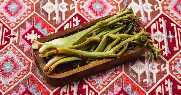 Çaşır bitkisinin faydaları